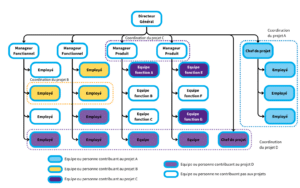 Les structures organisationnelles décryptées : S’adapter & réussir