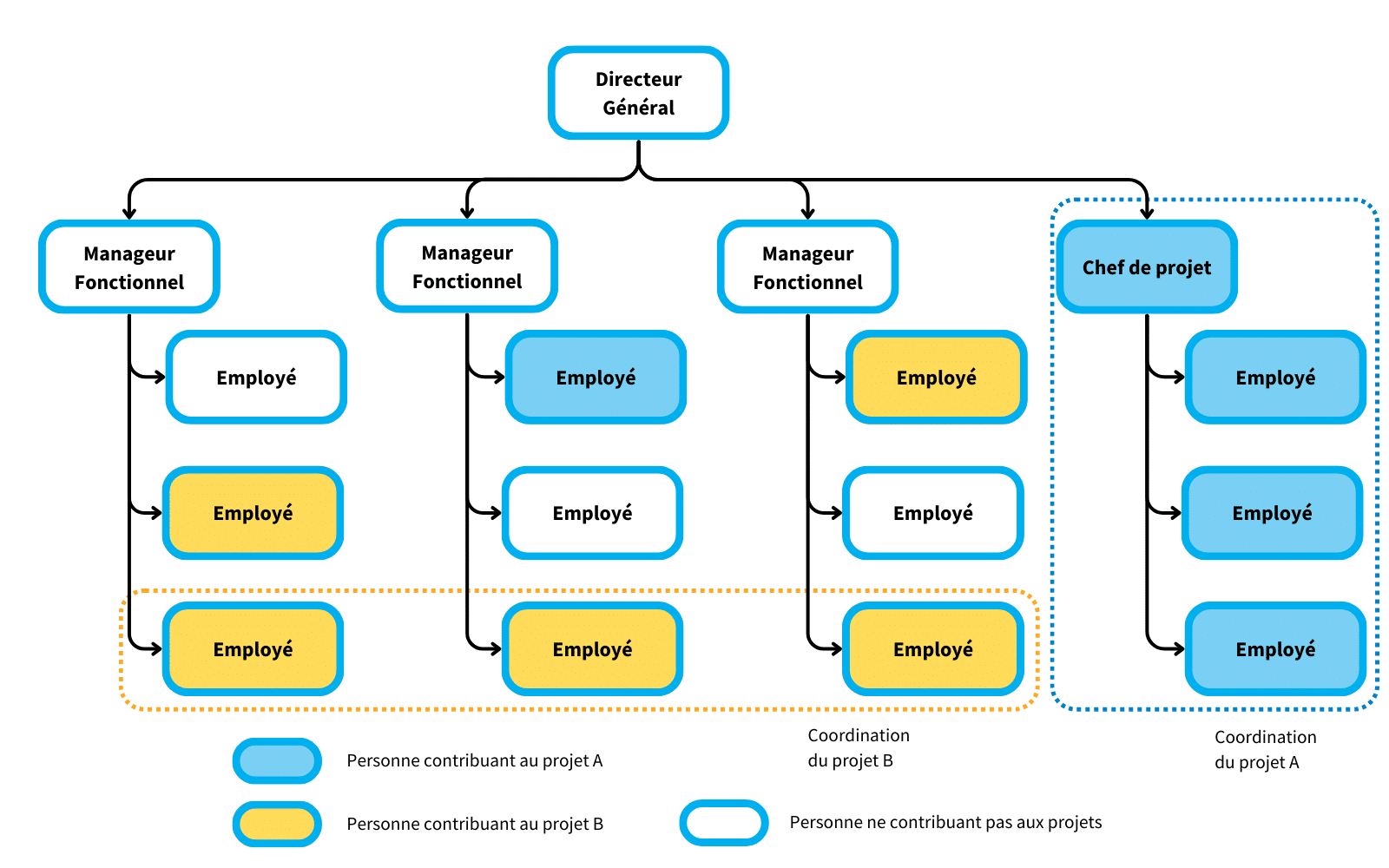 Les structures organisationnelles décryptées : S’adapter & réussir