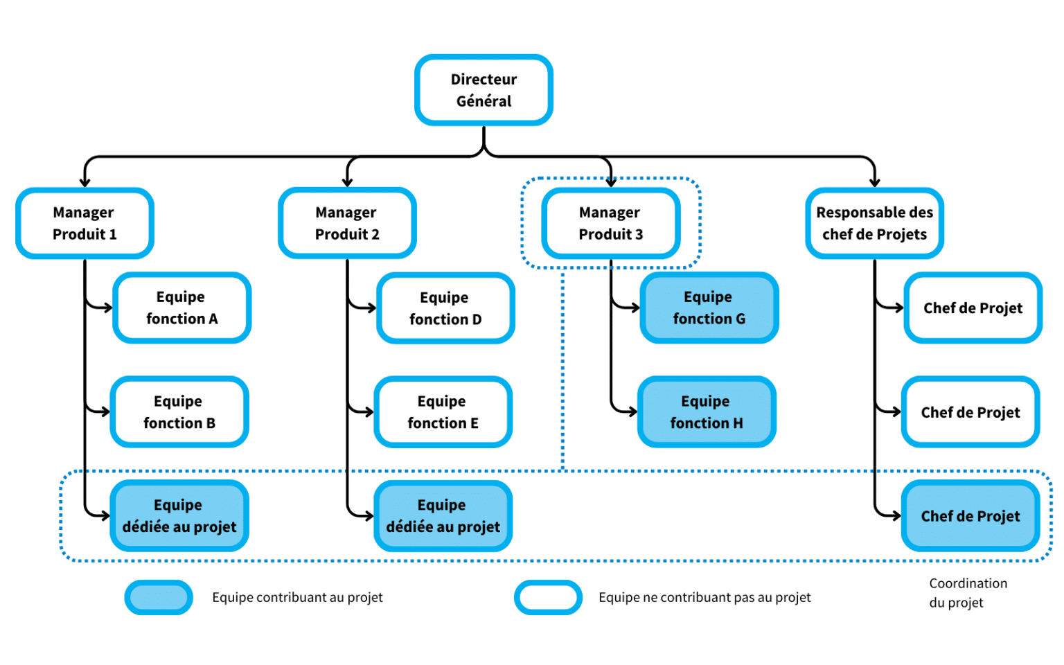 Les structures organisationnelles décryptées : S’adapter & réussir