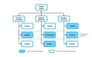Les structures organisationnelles décryptées : S’adapter & réussir