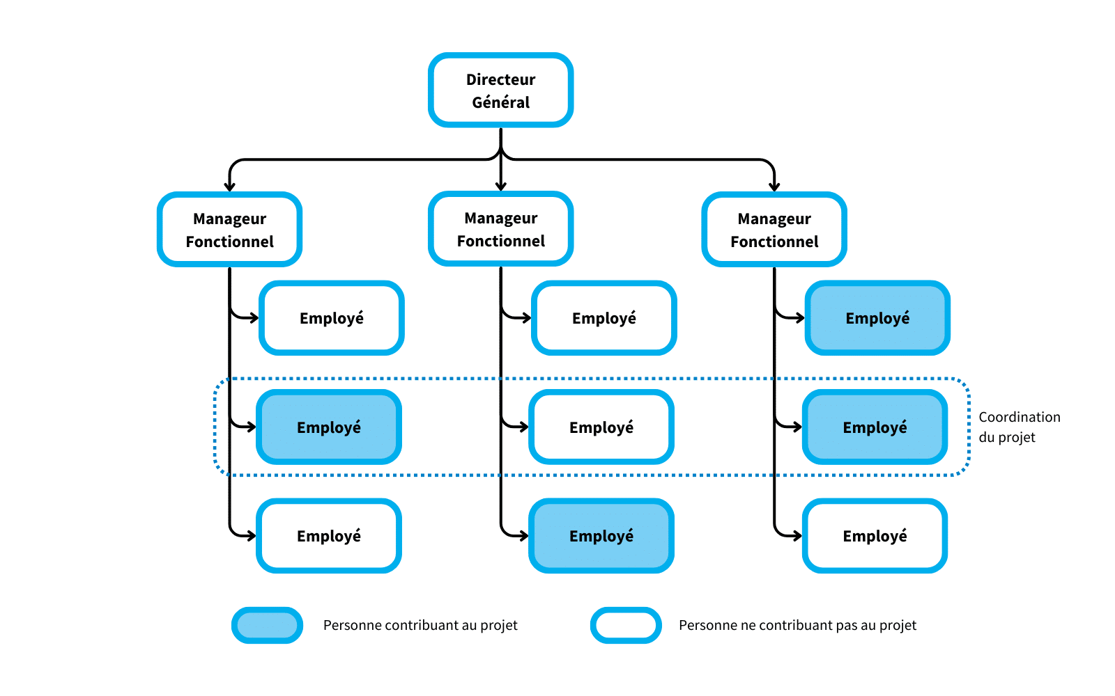 Les structures organisationnelles décryptées : S’adapter & réussir
