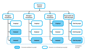 Les structures organisationnelles décryptées : S’adapter & réussir