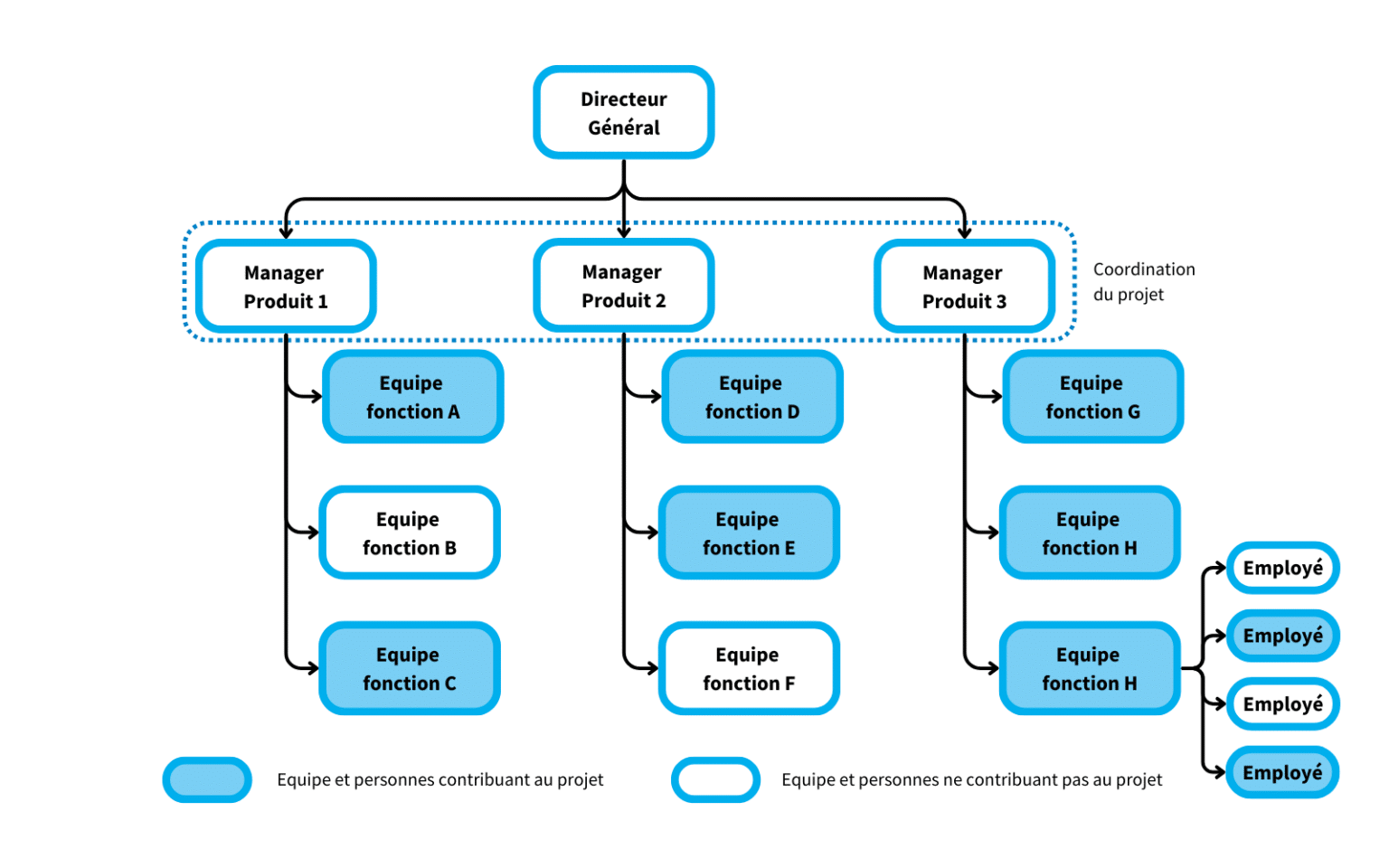 Les structures organisationnelles décryptées : S’adapter & réussir