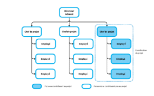 Les structures organisationnelles décryptées : S’adapter & réussir