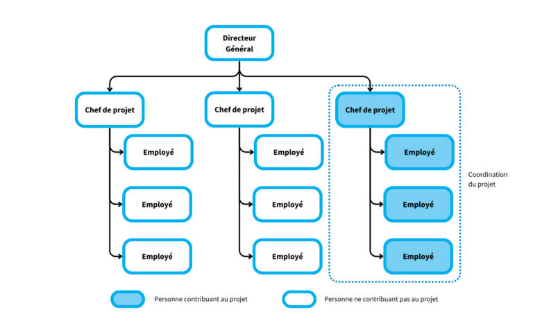 Les structures organisationnelles décryptées : S’adapter & réussir