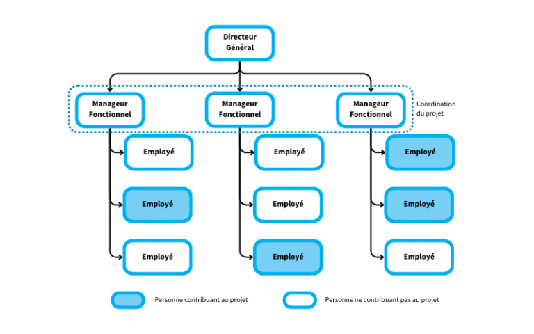 Les structures organisationnelles décryptées : S’adapter & réussir